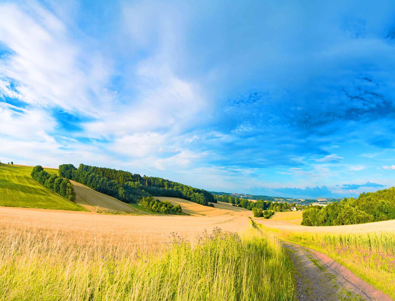 Check out Tenet's FAQs